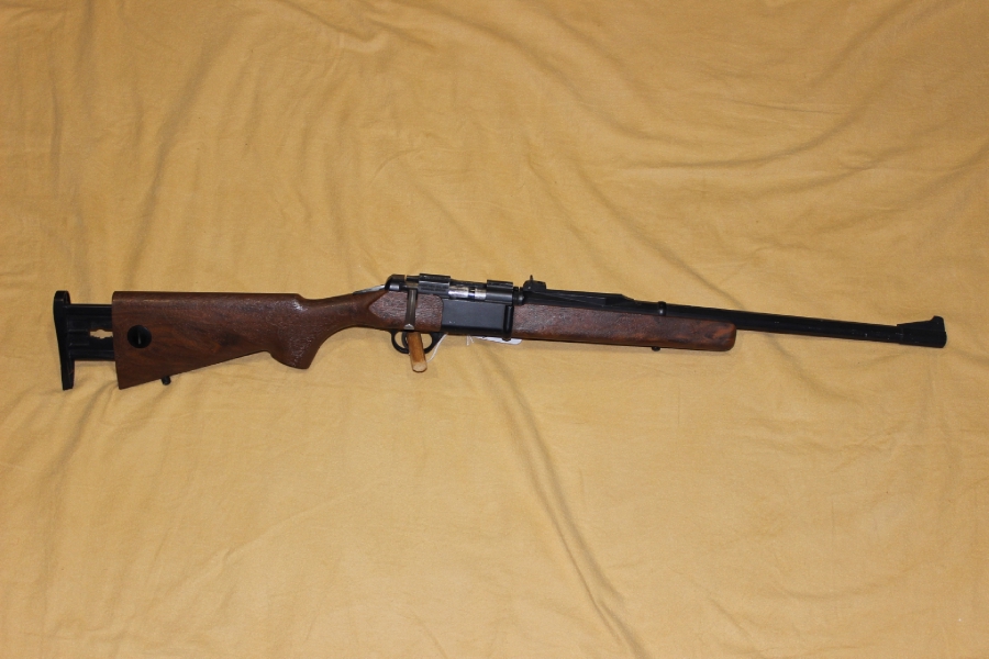 Daisy Model 2201 Legacy Single Shot Adjustable Stock .22 Lr For Sale at ...