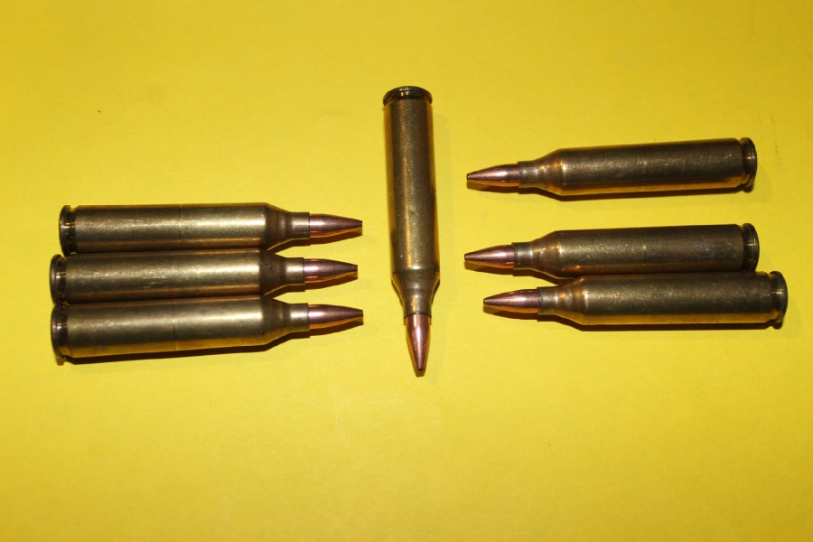50 Count .17-223 Reloads W/Case Gard .223 Rem. For Sale at GunAuction ...