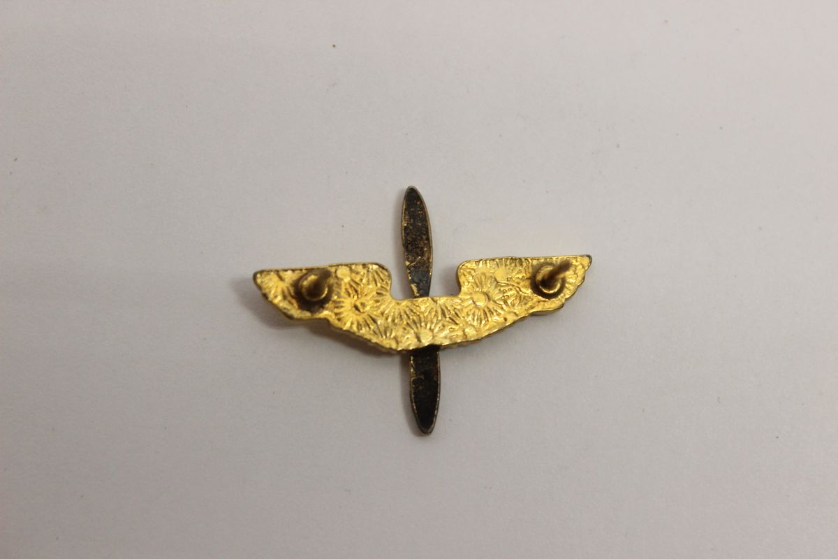 Wwii Nazi Gold Lapel Wings W/Both Keepers For Sale at GunAuction.com ...