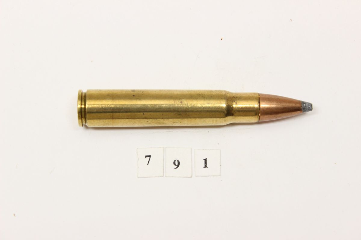 Hornady Single Shell .376 Steyr .376 Steyr 14400982 - GunAuction.com