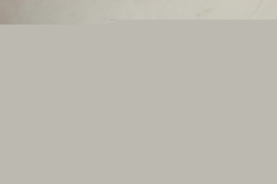 Webley & Scott Single Shell Kynoch K57 .455 MK. 6Z .455 Webley 14433172 ...