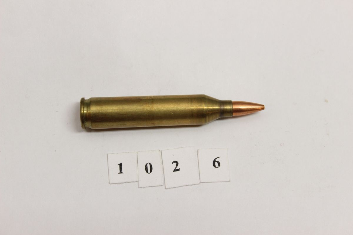 Single Shell .17-223 Wildcat