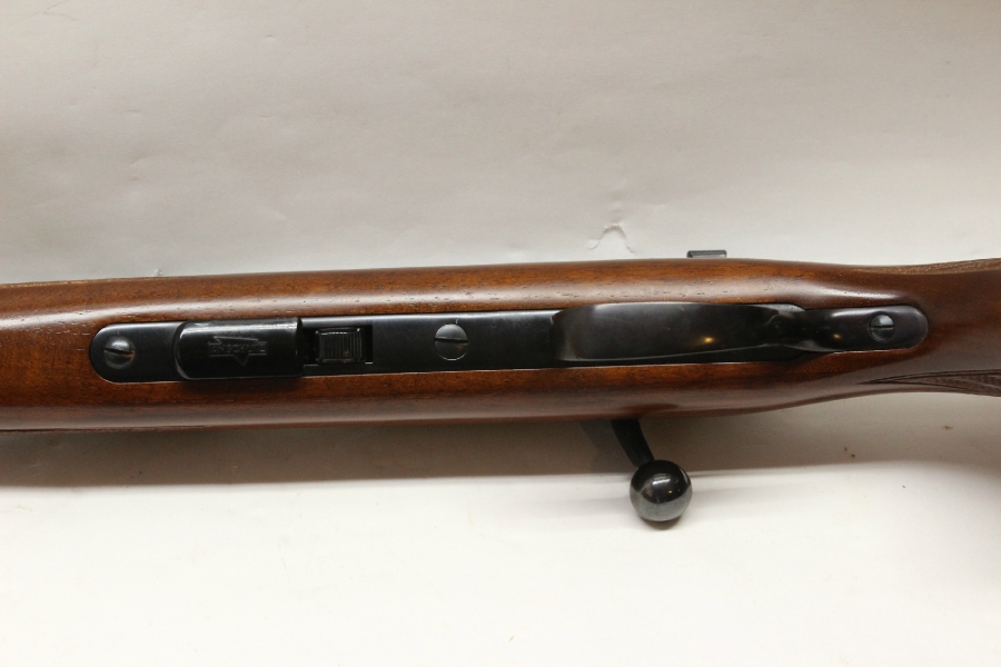 Payment and Shipping Instructions: