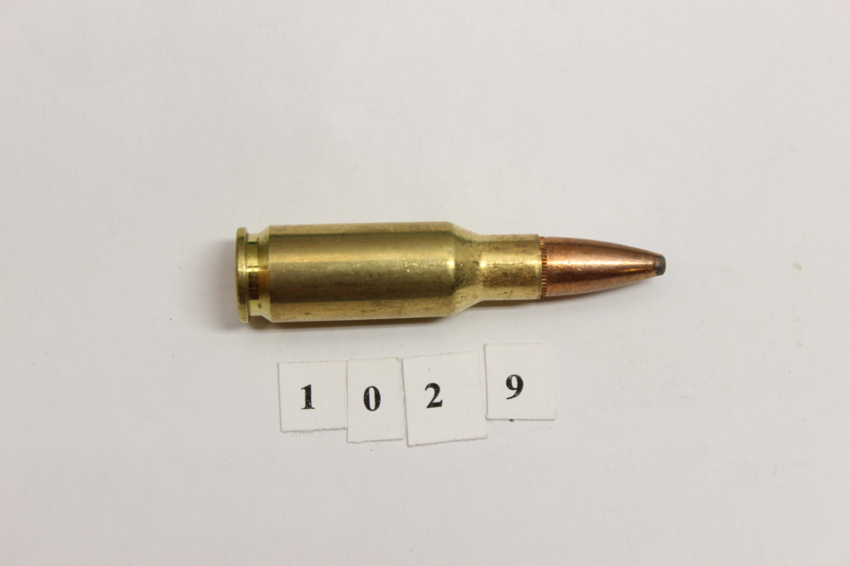 Single Shell Remington Peters R-P .30 Rem AR 30 Remington AR .30 ...
