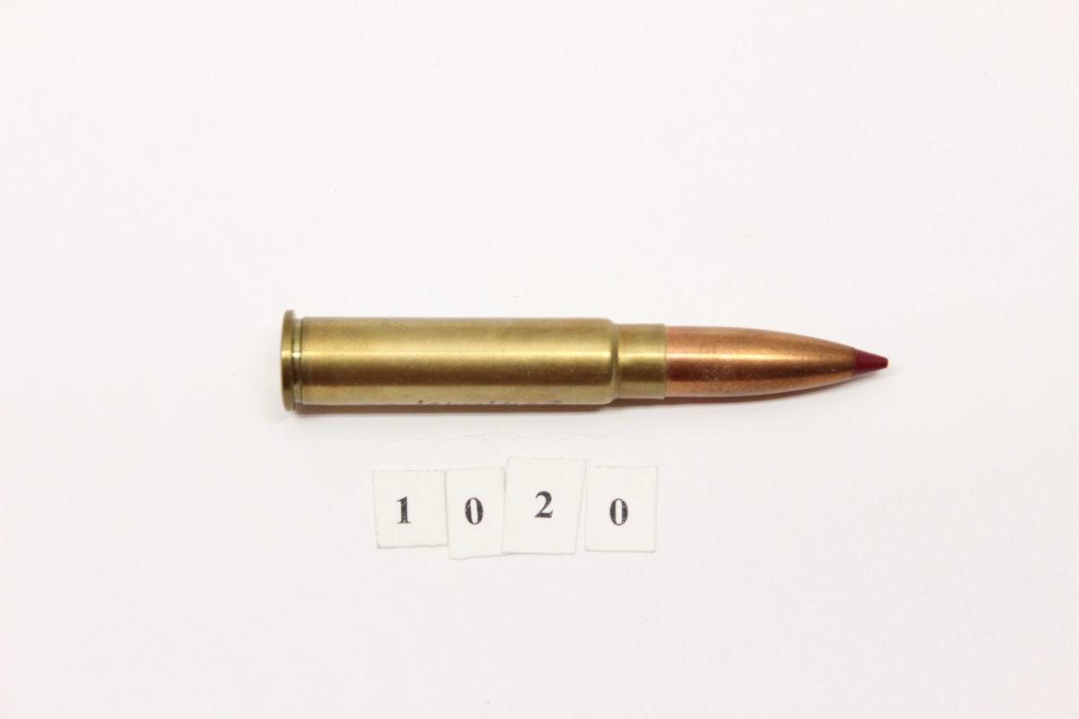 Single Shell Wildcat .338 Woodswalker Jdj .338 Woodswalker J.D. Jones ...