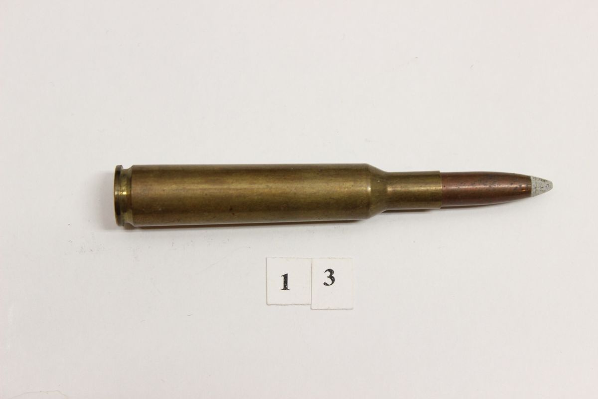 Remington UMC Single Shell .256 Newton .25 ACP 15598541 - GunAuction.com