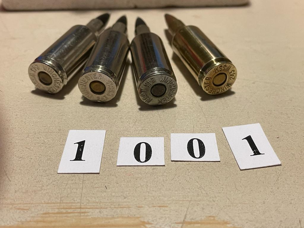 Single Shell .243 WSSM Winchester Super Short Magnum Nickel or Brass ...