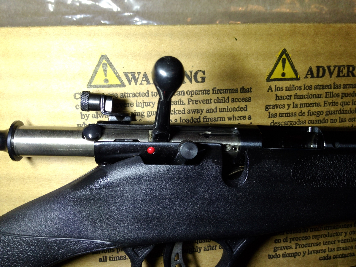 Savage Arms Savage Rascal Youth 22lr 16 .22 Lr For Sale at GunAuction ...