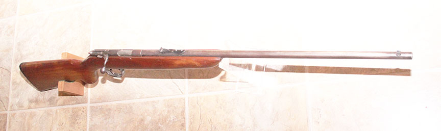 Remington Targets, Small Animals, Just Plain Fun To Shoot .22 Lr For ...