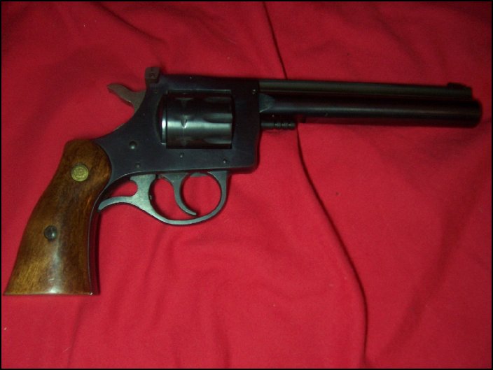 Nef Model R92 Ultra 22 Lr. 9 Shot 6 Inch For Sale at GunAuction.com ...