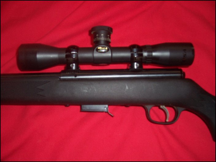 Savage Model 93r17 17 Hmr W / Bsa Sweet 17 For Sale at GunAuction.com ...