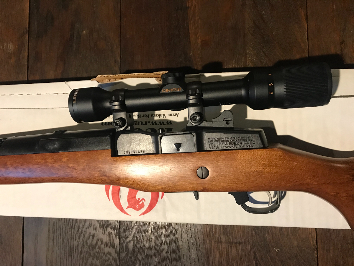 Payment and Shipping Instructions: