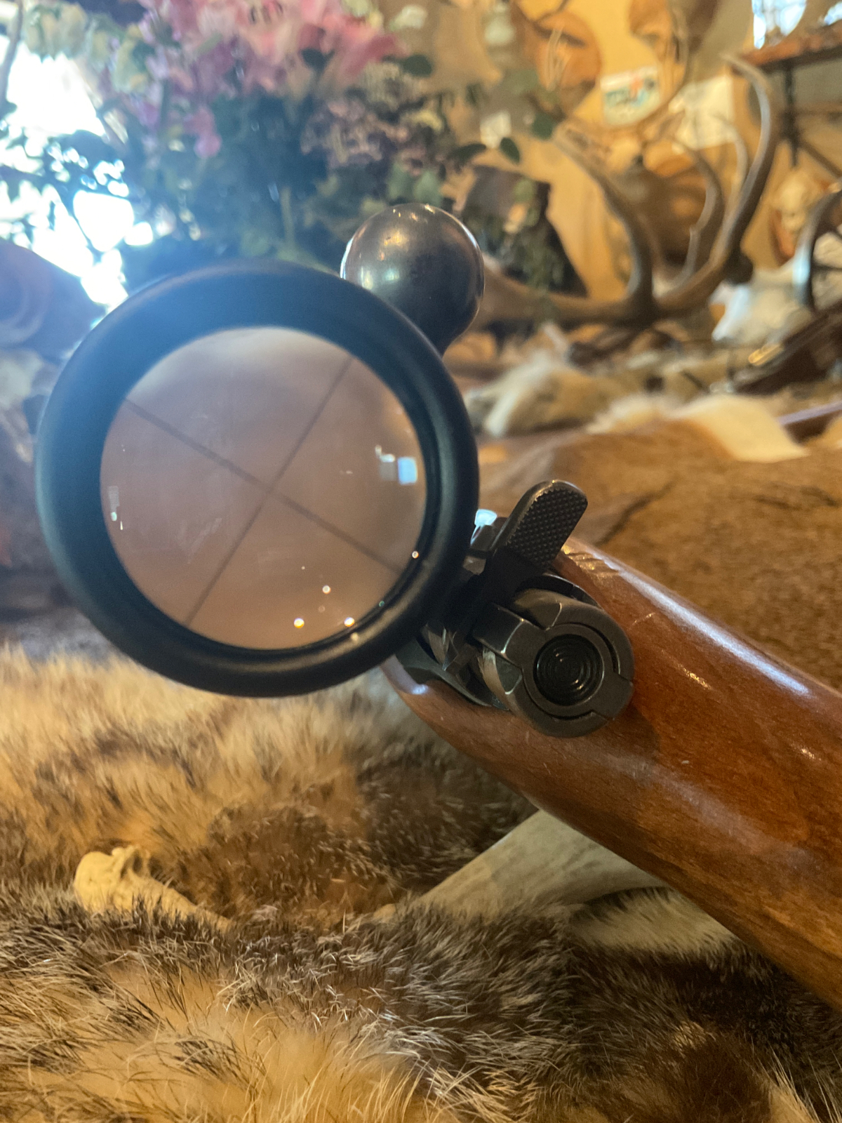 Cz Usa Mod. 513. Bolt Action Rifle, 22lr. Clip Feed, (Full Size) 13.7/8 ...