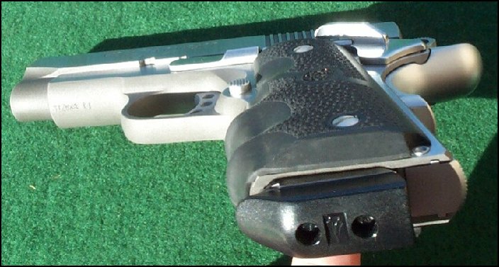 Springfield Armory V10 Ultra Compact .45acp. Stainless Novack Sites For ...