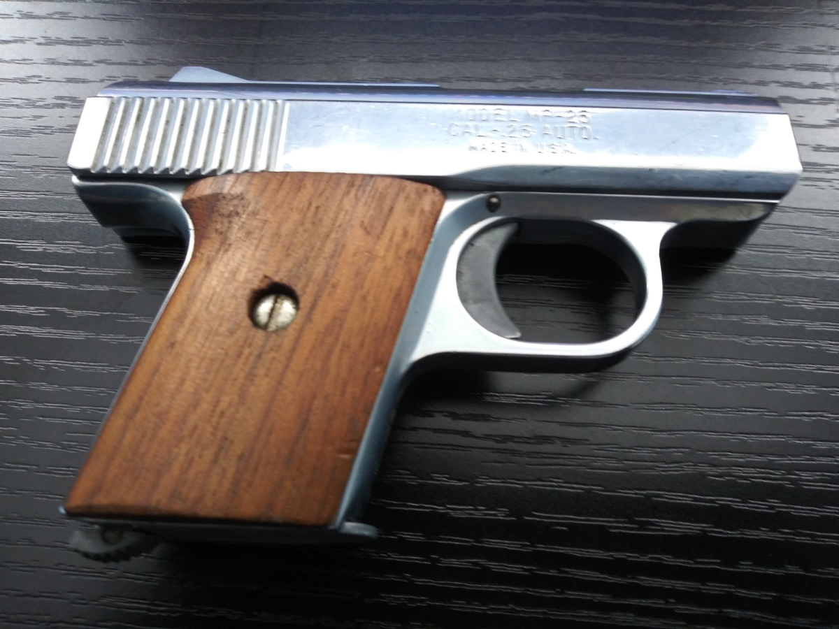 Raven Arms Mp 25 .25 Acp For Sale at GunAuction.com - 17203454