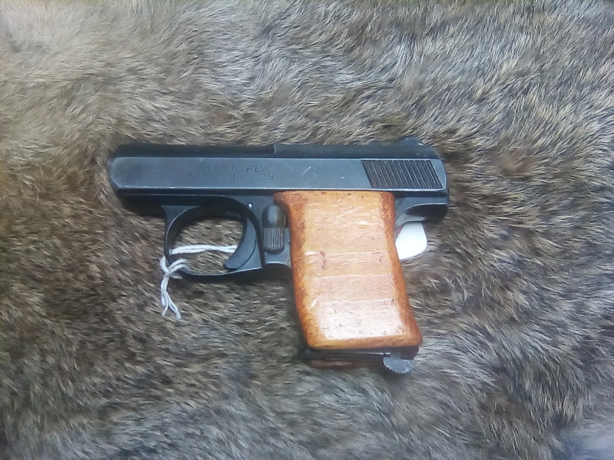 Rg Mod Rg 25 .25 Acp For Sale at GunAuction.com - 17094025