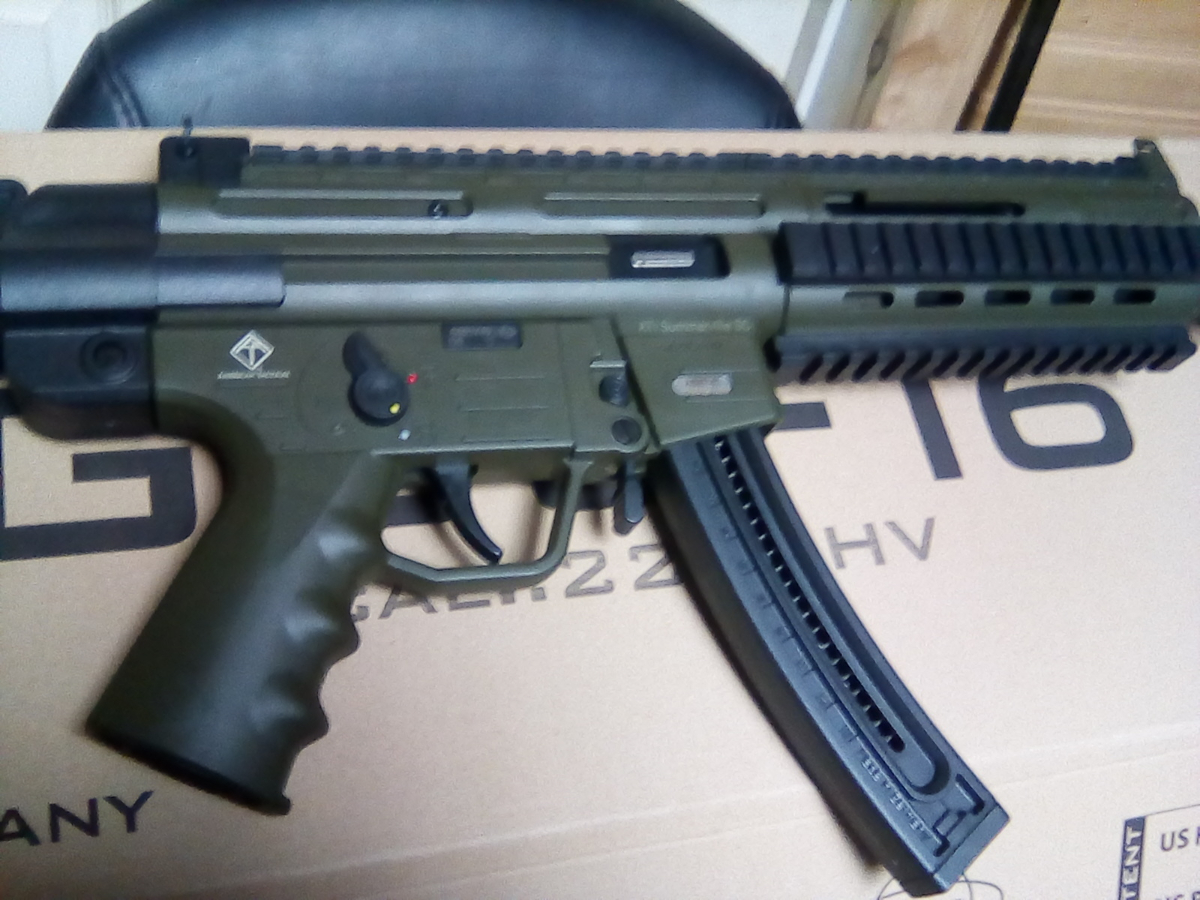 Gsg 16 22 Lr .22 Lr For Sale at GunAuction.com - 17131604