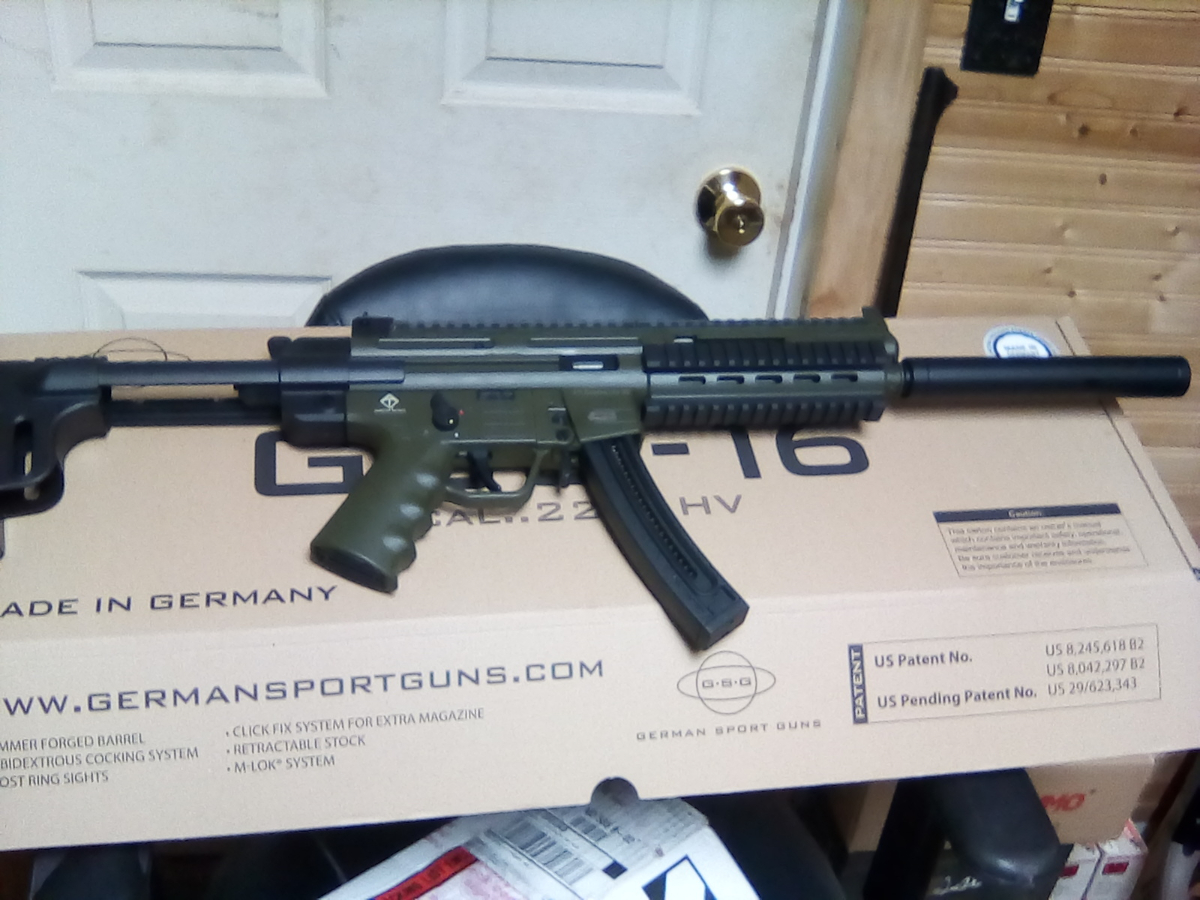 Gsg 16 22 Lr .22 Lr For Sale at GunAuction.com - 17131604