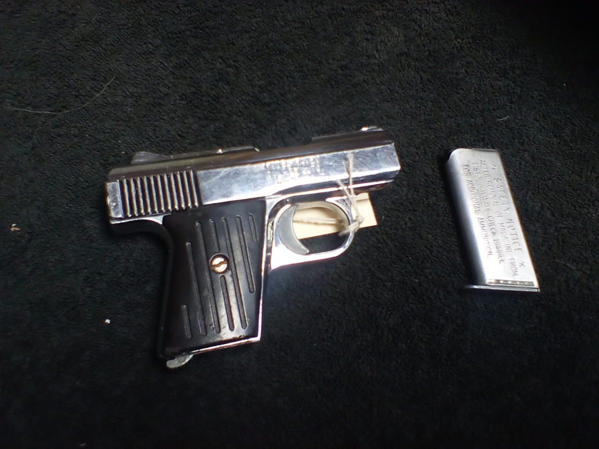 Phoenix Arms Md Raven 25 Auto .25 Acp For Sale at GunAuction.com - 17205615