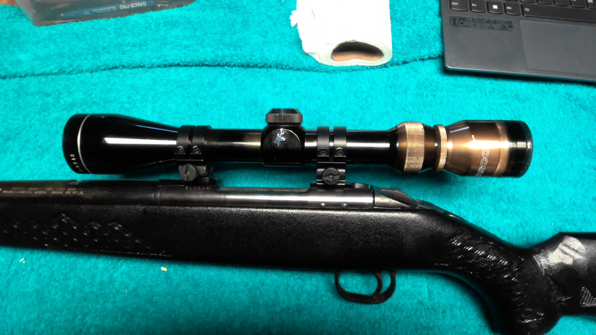 Westernfeild M782 243 Win .243 Win. For Sale at GunAuction.com - 17299124