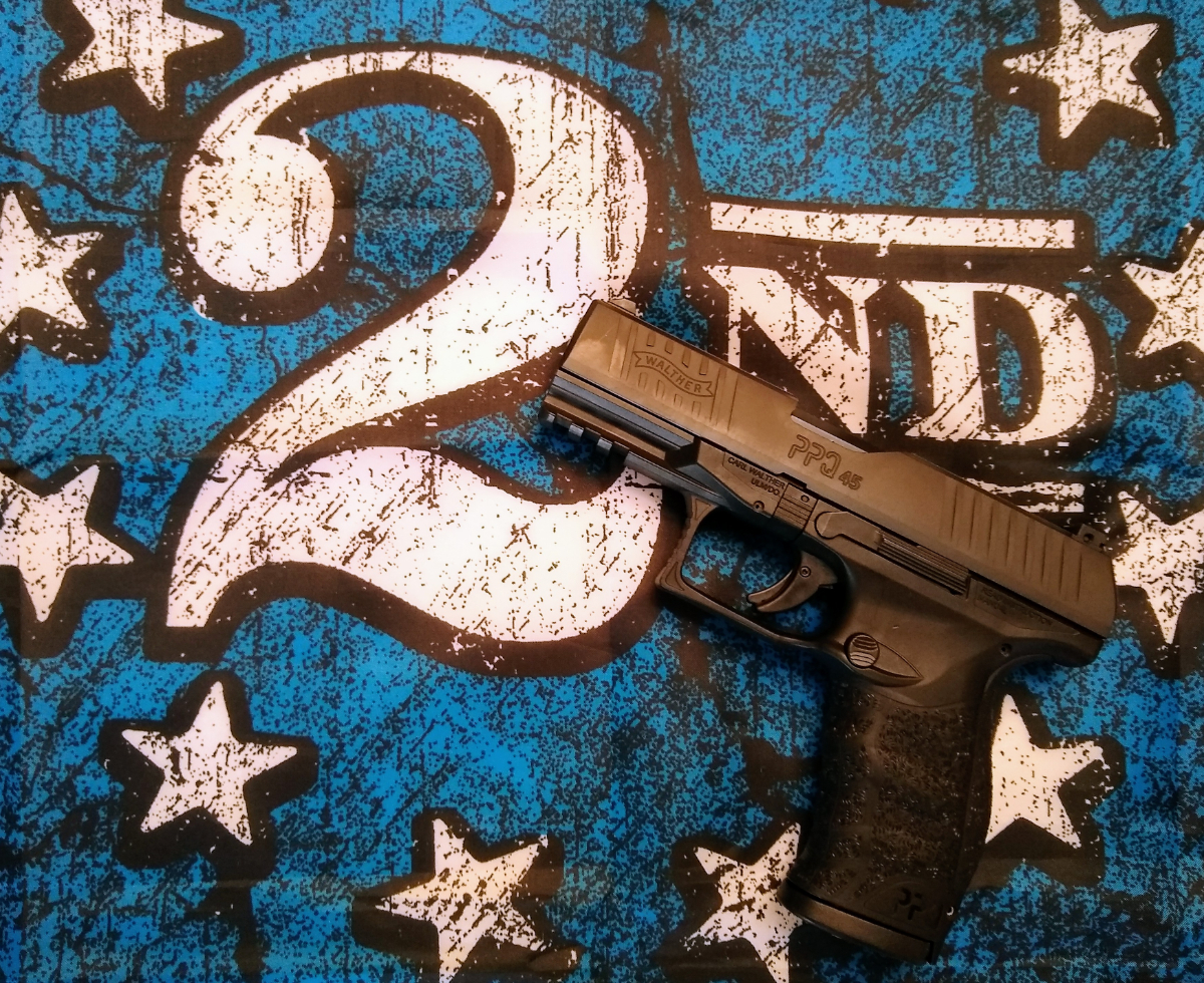 Walther Ppq M2 .45 Auto .45 Acp For Sale at GunAuction.com - 17197702