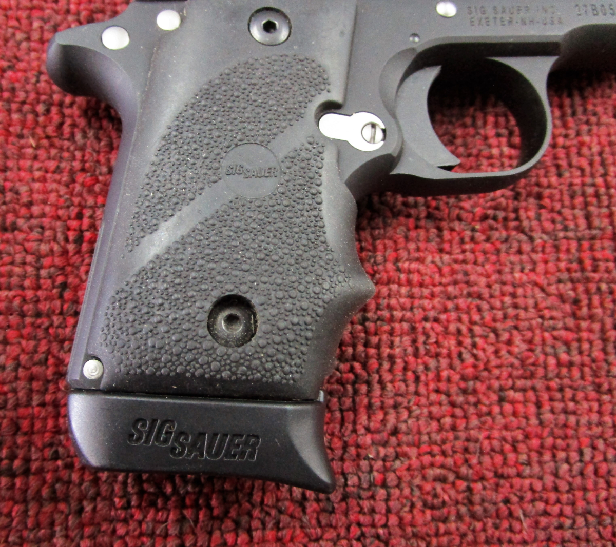 SIG MODEL 238 UNFIRED 1-6RD MAG .380 ACP 17057067 - GunAuction.com