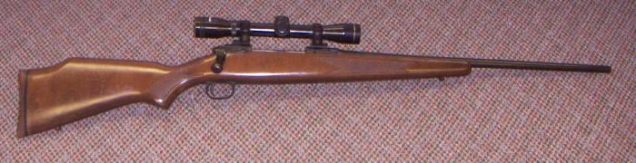 Savage 110 wood stock 270win W-scope