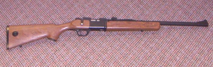 Daisy Legacy 22lr Bolt Action Youth Rifle For Sale at GunAuction.com ...