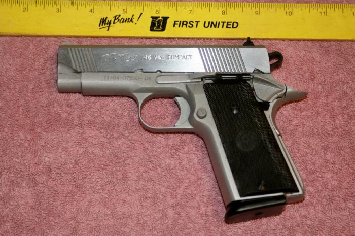 Firestorm/Llama Mini Compact Firestorm 45 Acp For Sale at GunAuction ...
