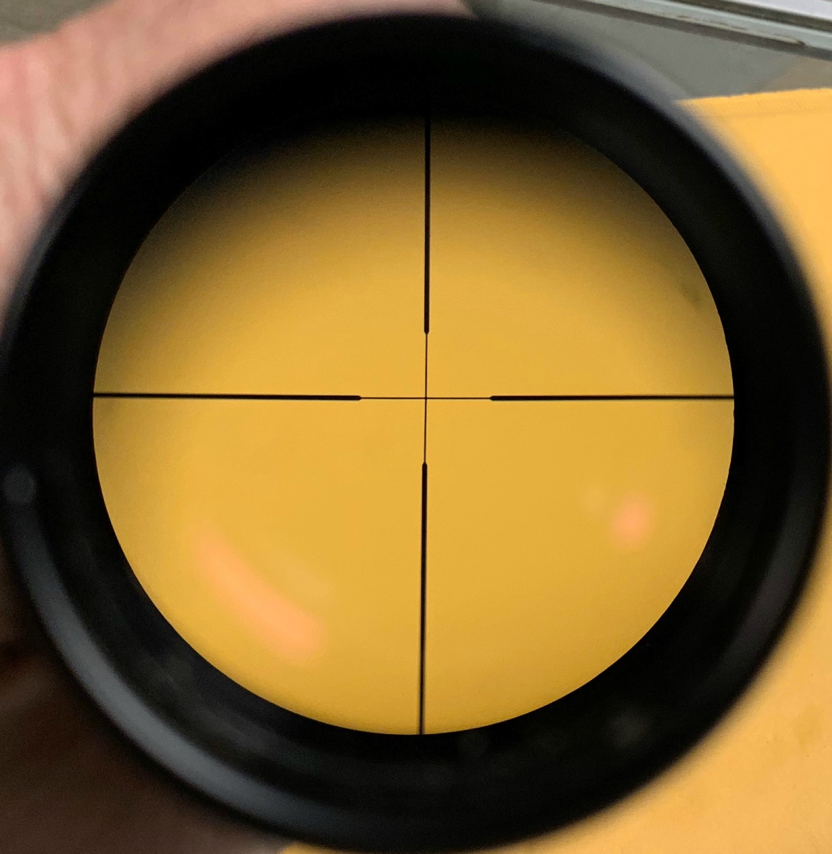 Payment and Shipping Instructions: