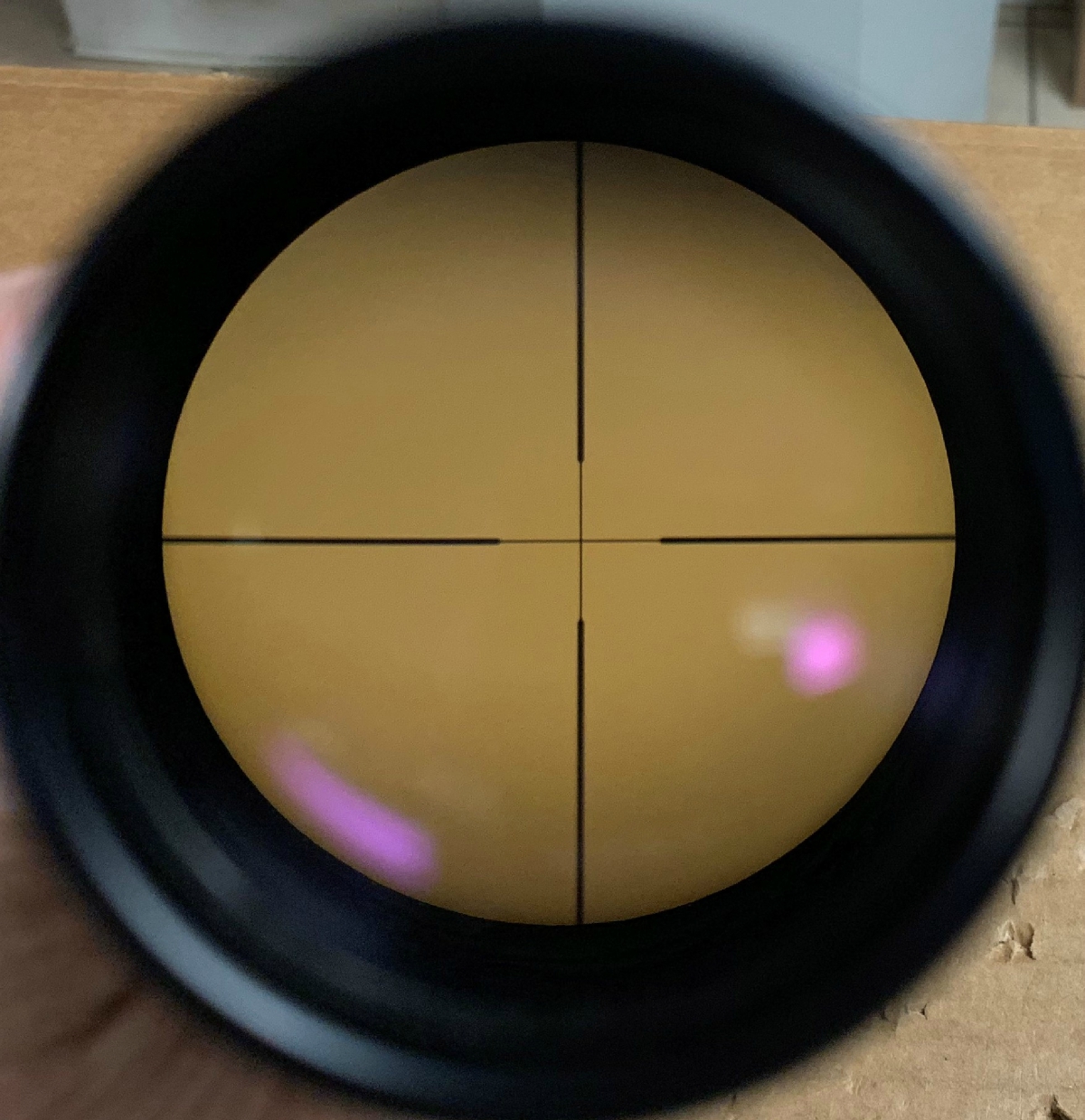 Payment and Shipping Instructions: