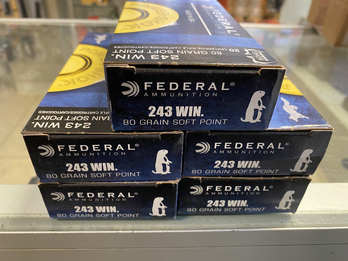 100 Rounds Federal 243 Power-Shok 243 80 Gr Jacketed Soft Point (Jsp ...