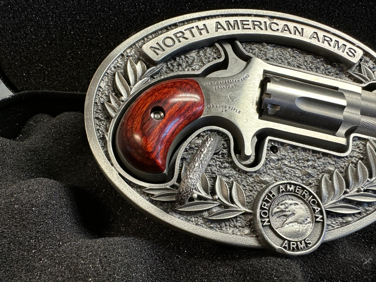 North American Arms MODEL Mini Revolver Stainless with Oval Enclosed ...