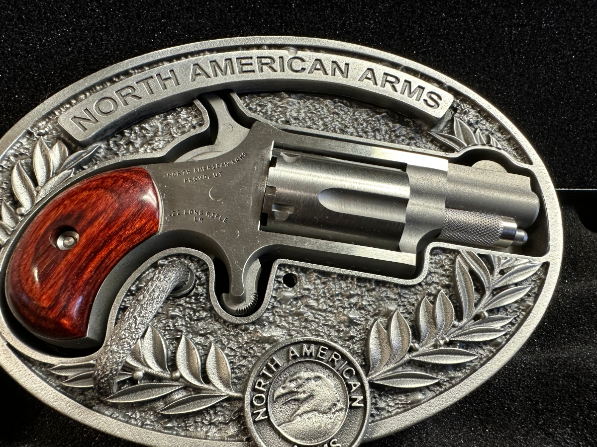 North American Arms MODEL Mini Revolver Stainless with Oval Enclosed ...