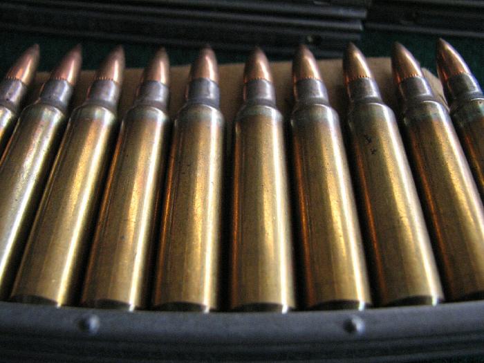 200 Rounds M196 .223 Fmj On Stippers - ( Lc 69 ) For Sale at GunAuction ...