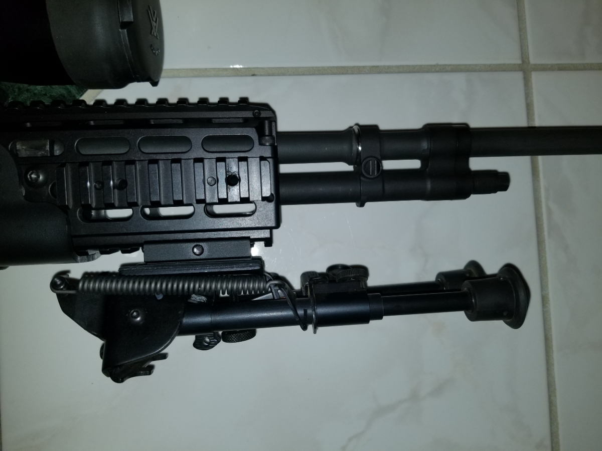 EOTech Springfield Armory M1A with Sage EBR Chassis and Vortex Viper ...