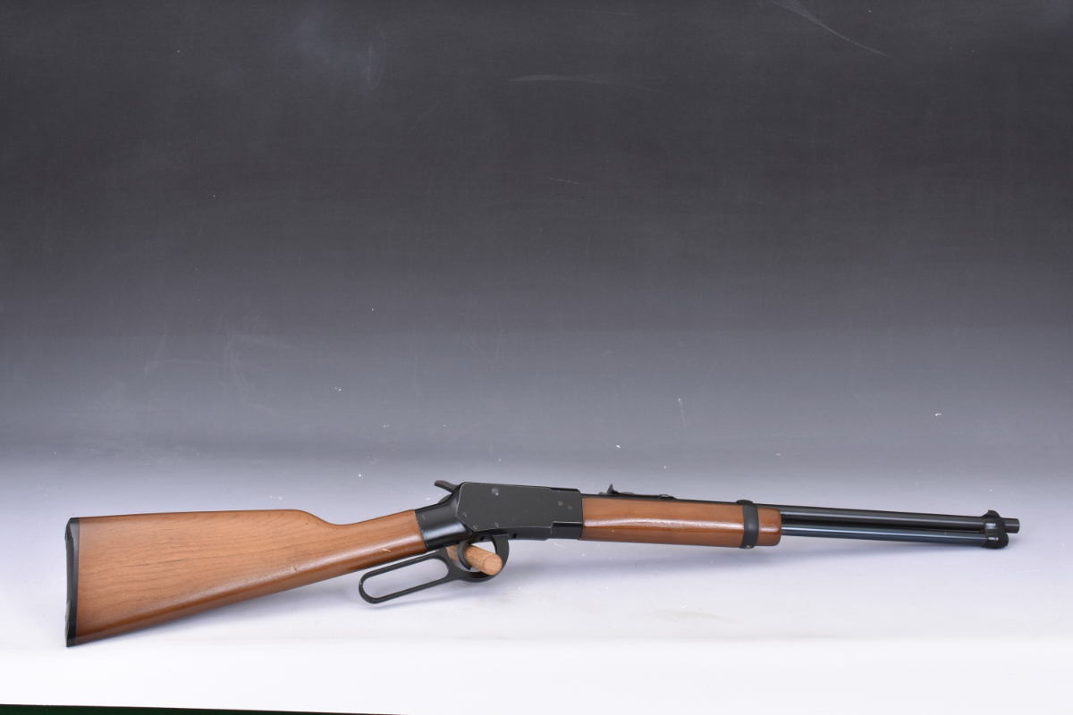 Savage 89 22lr .22 Lr For Sale at GunAuction.com - 15050882