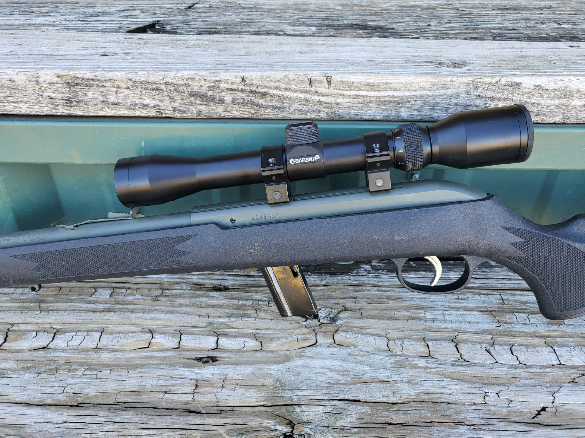 Savage Model 62 .22 LR 17317629 - GunAuction.com