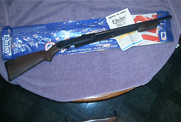Daisy Model 225 Pump For Sale at GunAuction.com - 3254987