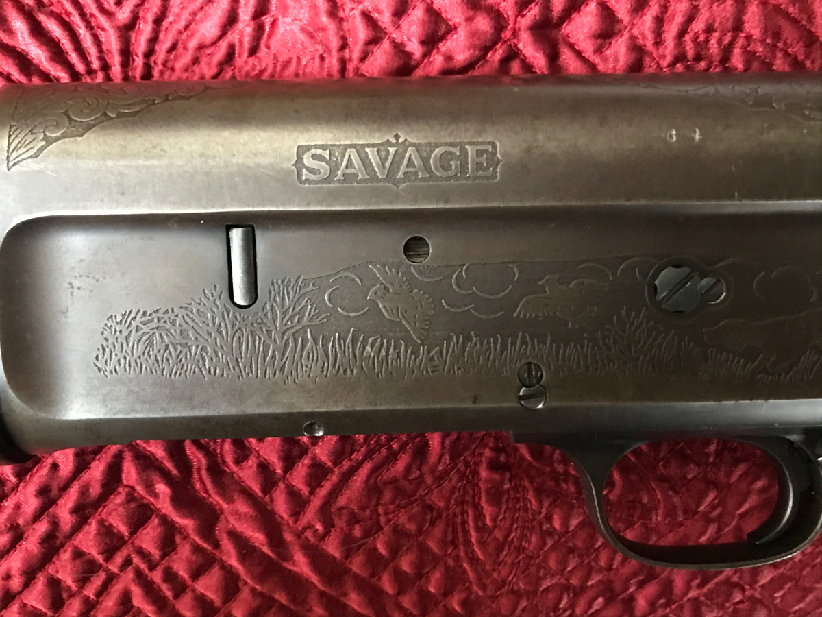 Savage 12 Ga Semi Automatic 12 Ga For Sale at GunAuction.com - 16933154