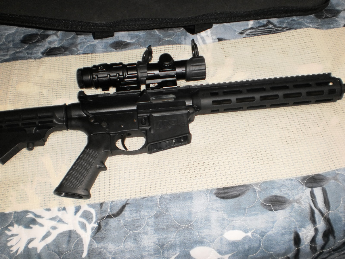 Smith & Wesson S&W M&P Ar22 With Red/Green Dot And 3x Magnifer Lightly ...