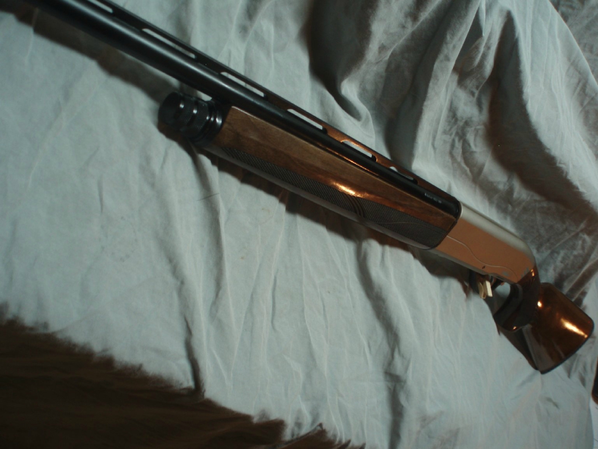 Tristar Arms Raptor Silver Nib 20 Ga For Sale at GunAuction.com - 17092144