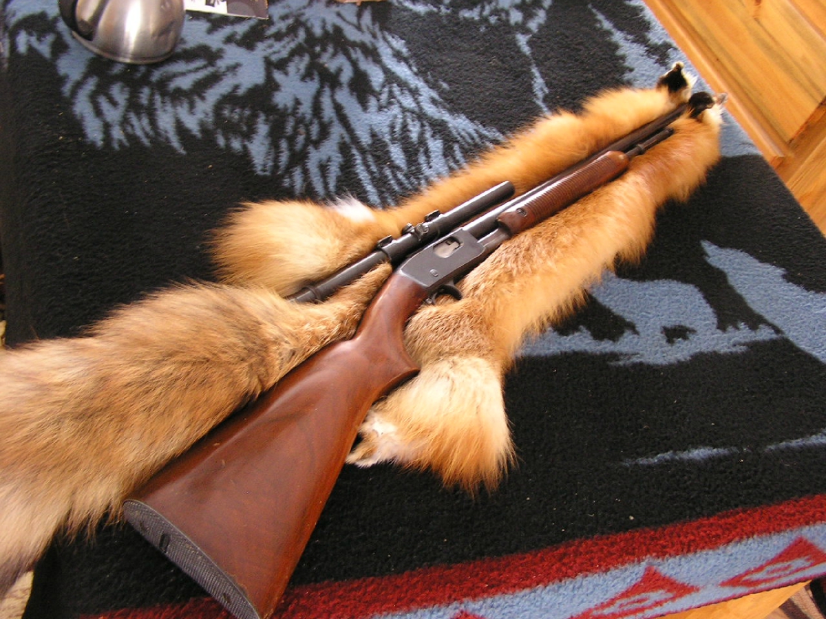 Remington Model 121 With Weaver B6 Scope For Sale at GunAuction.com ...