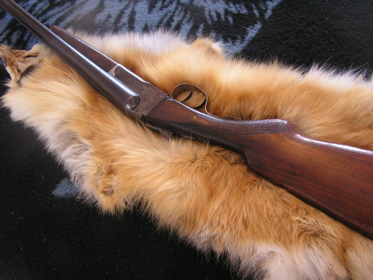 Lefever Nitro Special 12 Ga Sxs 12 Ga For Sale at GunAuction.com - 17325034