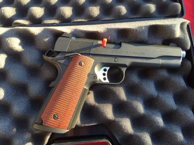 Springfield Armory Professional Model .45 Acp For Sale at GunAuction ...