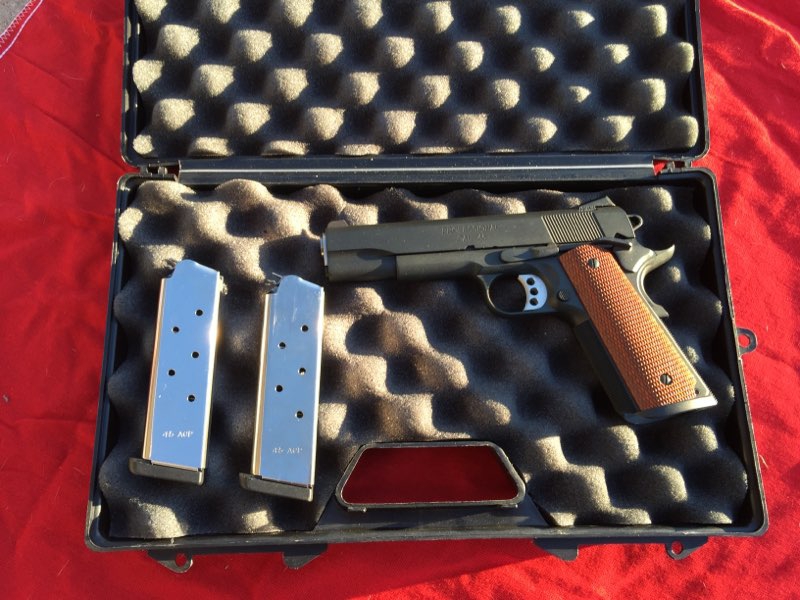 Springfield Armory Professional Model .45 Acp For Sale at GunAuction ...