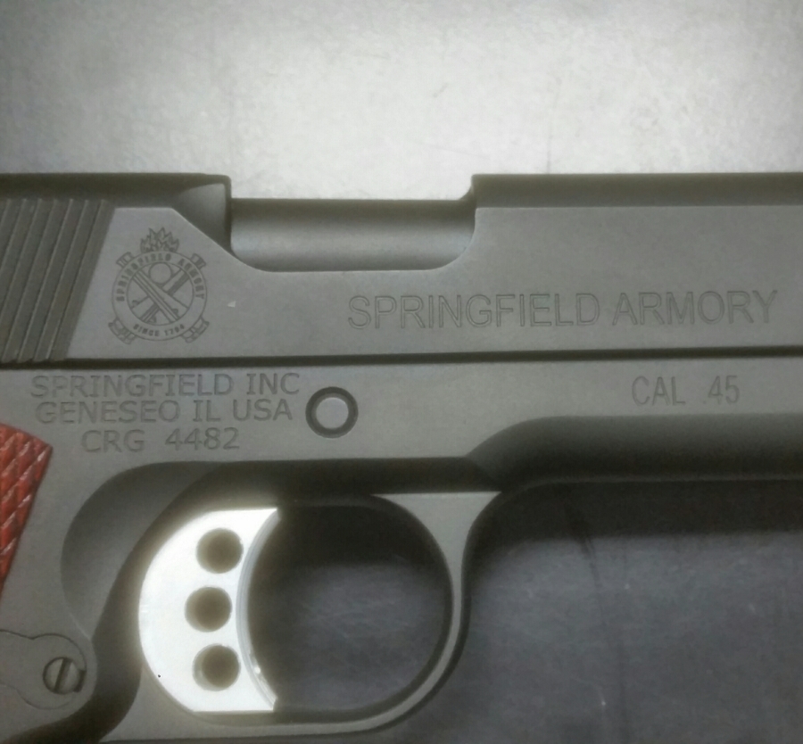 Springfield Armory Professional Model .45 Acp For Sale at GunAuction ...