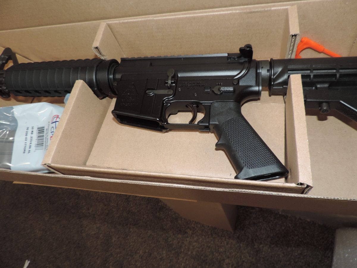 DELTON AR-15 IN 5.56 / 223 WITH 30 ROUND MAG NEW IN BOX
