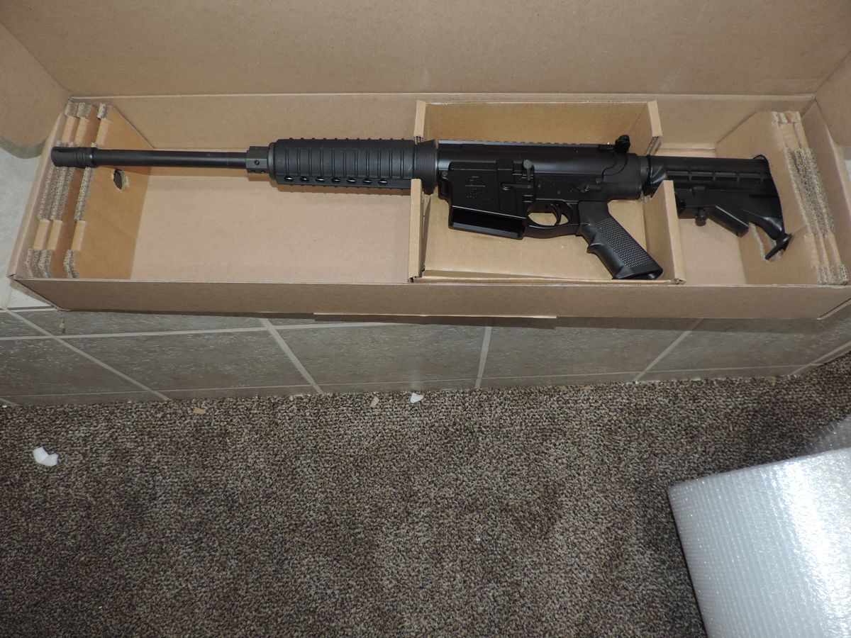 Delton Echo 308 New In The Box With 20 Round Mag And No Reserve .308 ...