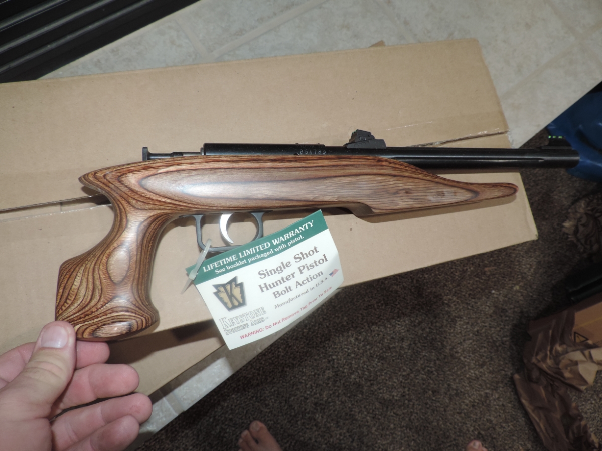 - CHIPMUNK 22 PISTOL WITH LAMITED STOCK AND FLUTTED BARRELL NO RESERVE ...